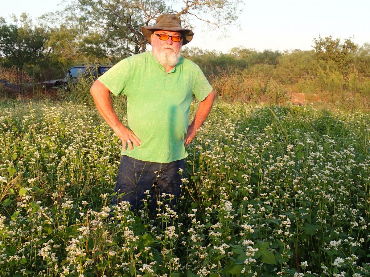 Pilgrim Light Farm » Orbys.net - Social Media the way it's meant to be!